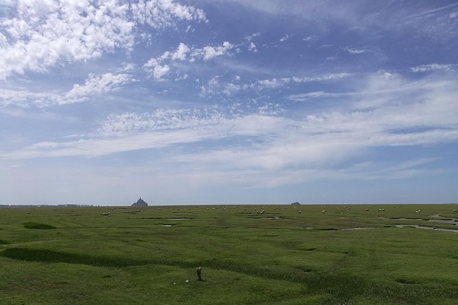 Day Trip with a local driver Mont Saint Michel from Saint Malo 6h - FAQ