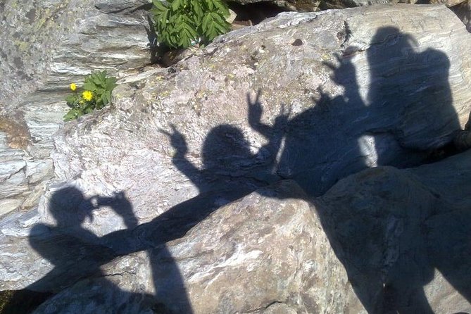 Day Trips and Excursions in Nature, Cities in Transylvania, Brașov! - Overview of Private Tour Offerings