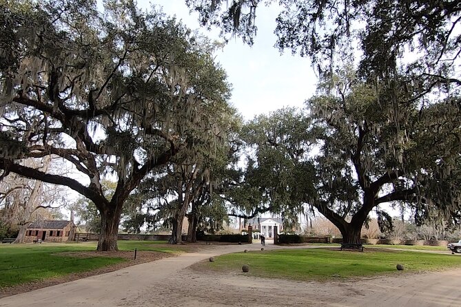 Day Trips to Charleston#7 See Ft Sumter,Carriagetour,Lunch & More - Horse-Drawn Carriage Tour