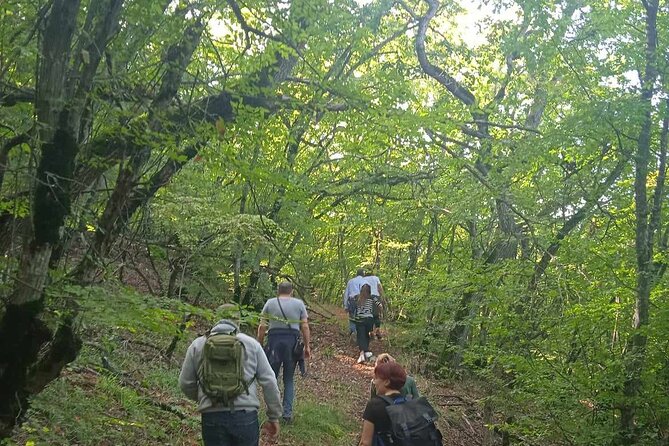 Day Walking Tour/Vashlovani Prot.Area(Eagle Gorge), min 2 persons - The Experience in a Nutshell