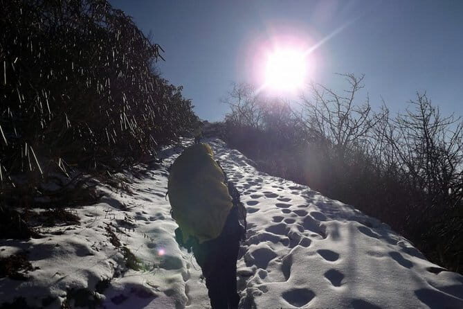 Dayara Bugyal Himalayan Trekking and Camping - What Makes This Trek Stand Out?