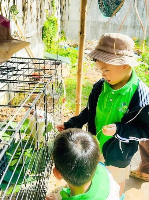 Daycare by Bex in Da Nang| Half Day - Thé School - Exploring the Experience in Detail