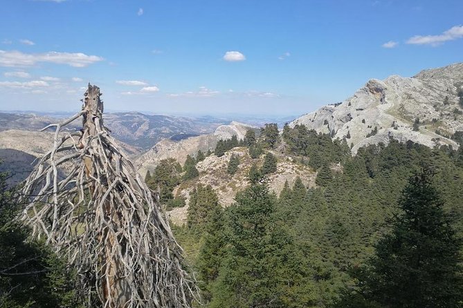 Dayhikes With Pick-Up From Marbella and Estepona - Meeting and Pickup Information