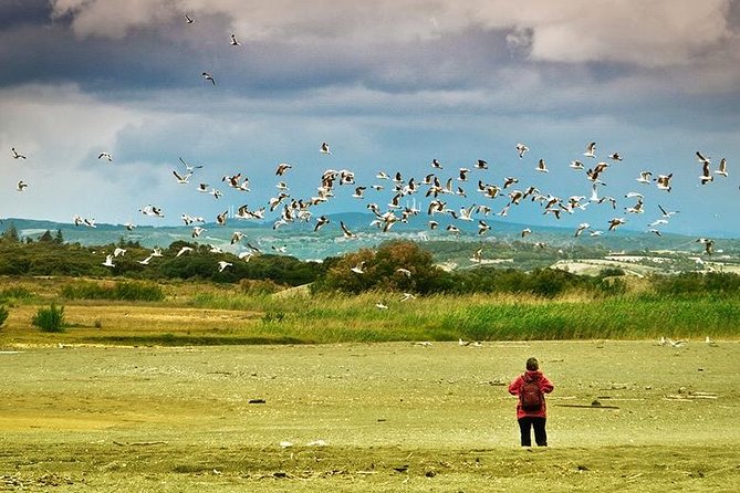 Dayhikes With Pick-Up From Marbella and Estepona - Reviews and Feedback