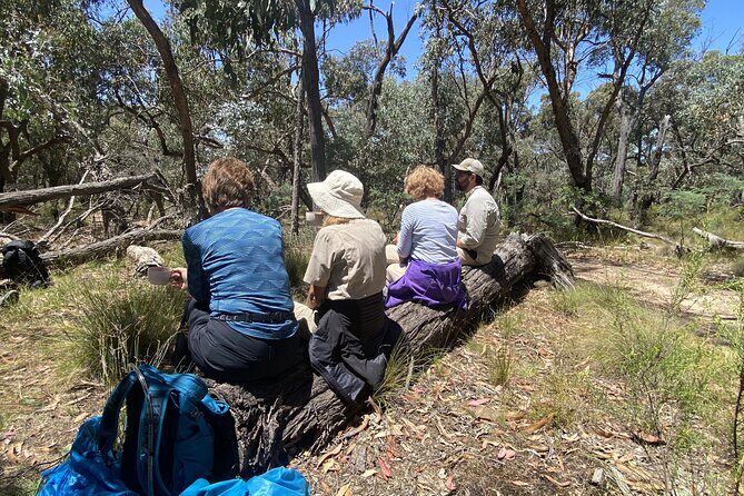 Daylesford Goldfields Track Walking and Wellness Experience - Frequently Asked Questions