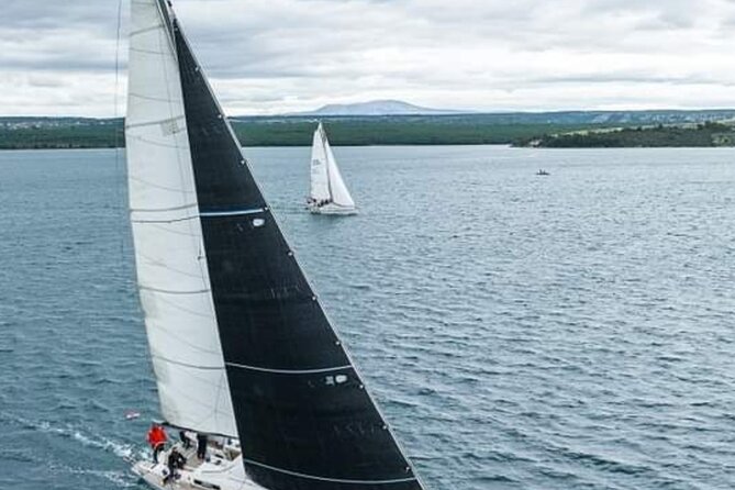 Daysailing & SUP Experience - Traveler Recommendations and Ratings