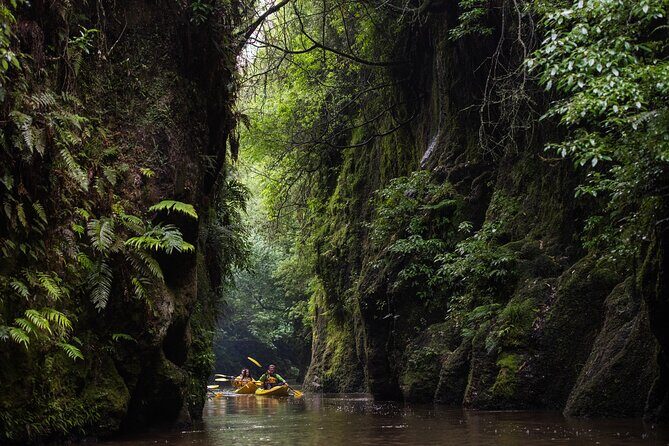 Daytime Canyon Kayak Tour - Key Points
