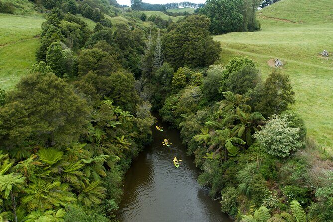 Daytime Canyon Kayak Tour - Detailed Breakdown of the Experience