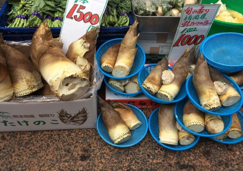 Daytime Hanami (Cherry Blossom Time) With a Local - Tour Route and Meeting Point