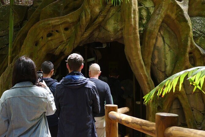 Daytime Scenic Rim Glow Worm Tour + Hop on Hop off Bus - An In-Depth Look at the Tour: What to Expect and Why It Matters