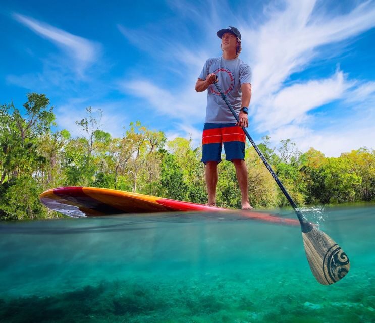 Daytona Beach: Guided Kayaking or Standup Paddling Tour - Why This Tour Is Worth Considering