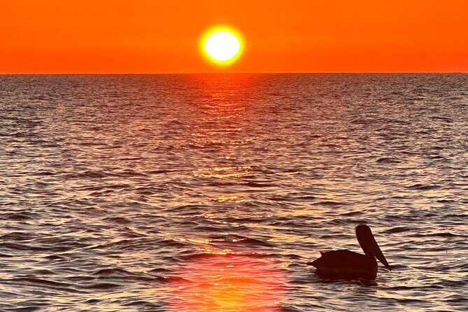 Daytona Beach: Sunrise Cruise on the Atlantic Ocean - An In-Depth Look at the Daytona Beach Sunrise Cruise
