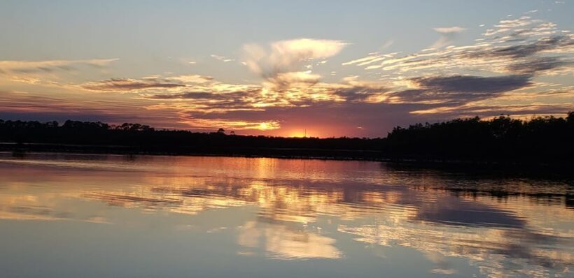 Daytona/New Smyrna Beach: Unforgettable Kayak Wildlife tours - An In-Depth Look at the Kayak Wildlife Tour