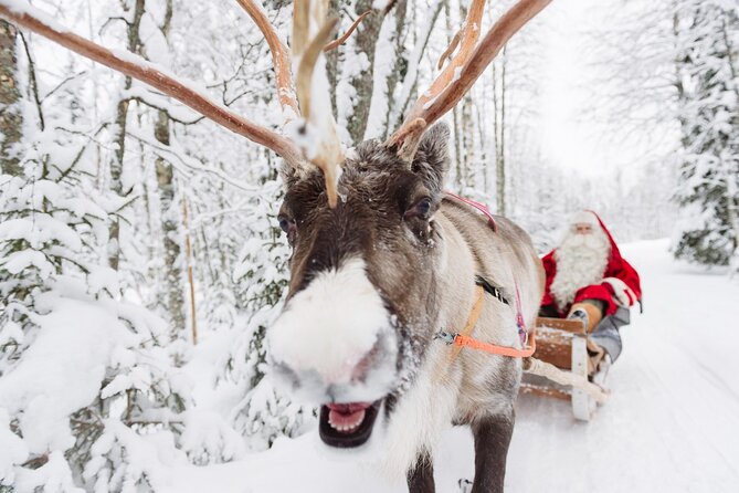 Daytour to Santa Claus Village, Reindeer and Husky Safaris, Photo, and Lunch - Reindeer and Husky Safaris