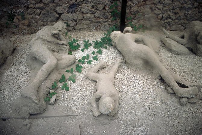 Daytrip From Naples Port to Pompei, Sorrento & Positano - Exploring Pompeii or Herculaneum