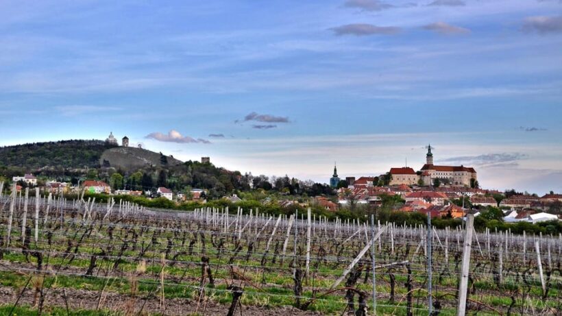 Daytrip from Prague - Mikulov with a stop at Lednice chateau - The Itinerary: What You Can Expect on This Daytrip