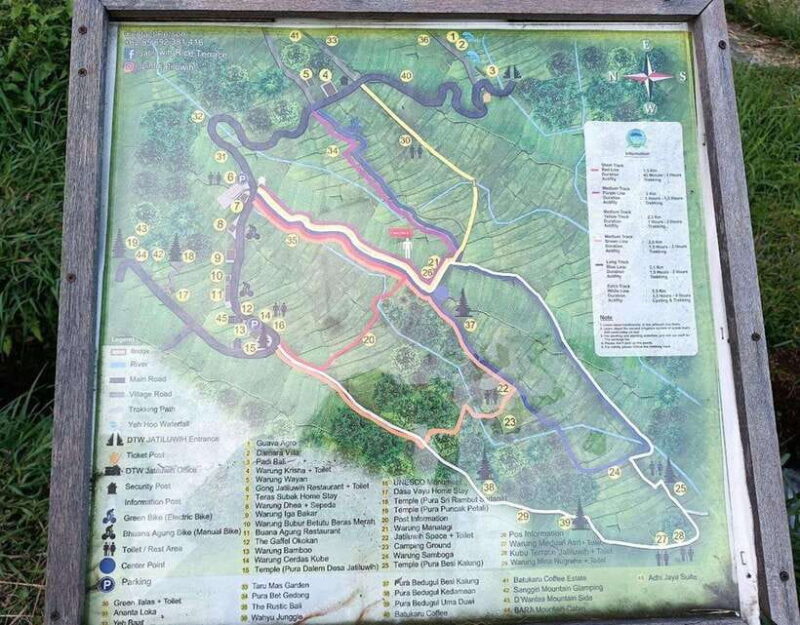 daytrip: sangeh monkey,jati luwih,yeh ho waterfalls - Key Points