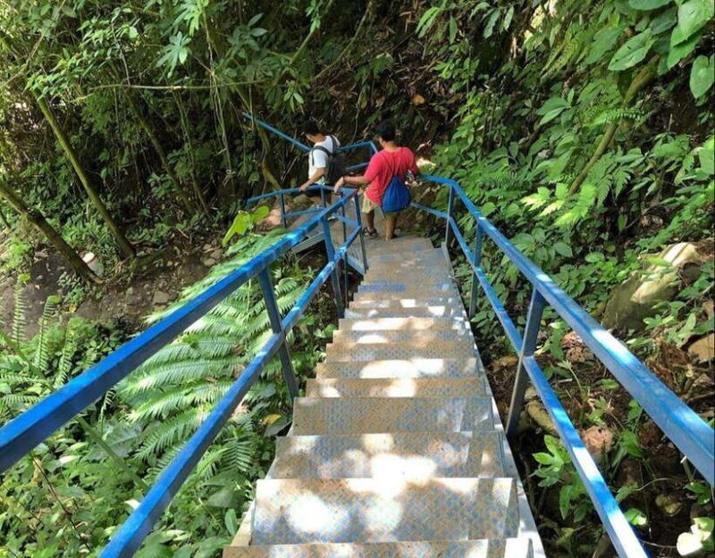 daytrip: sangeh monkey,jati luwih,yeh ho waterfalls - What You Can Expect on This Day Trip