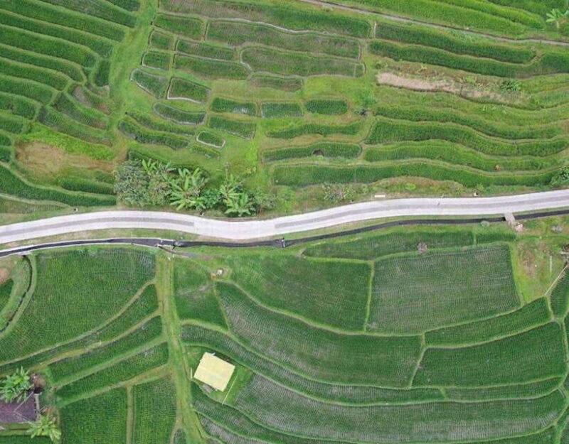 daytrip: sangeh monkey,jati luwih,yeh ho waterfalls - Who Will Love This Tour?