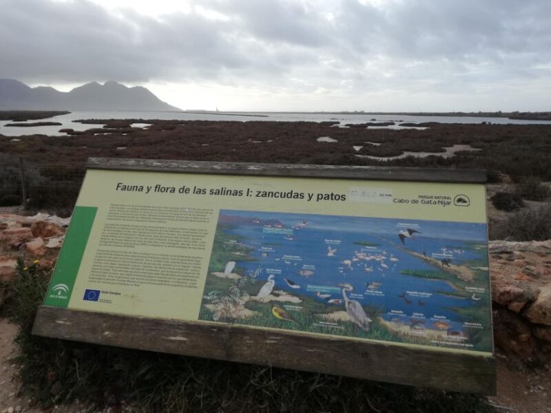 Daytrip to Cabo de GataNijar Natural Park - Transportation and Logistics