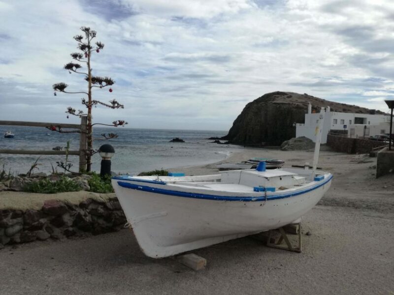 Daytrip to Cabo de GataNijar Natural Park - Pricing and Value