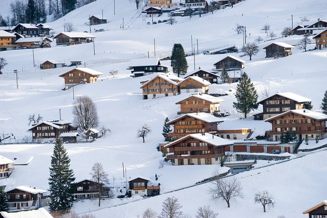 Daytrip to Jungfraujoch Top of Europe With Eigerexpress Gondola Ride From Zürich - Pricing and Booking Information