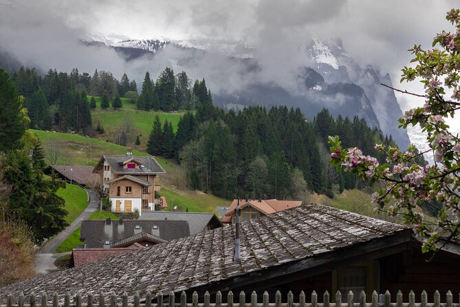 Daytrip to Swiss Villages: Interlaken Grindelwald & Lauterbrunnen - FAQs