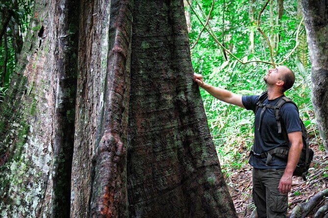Daytrip to Taman Negara National Park With Teras Waterfall - Key Points