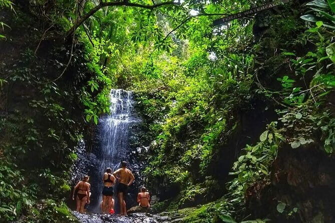 Daytrip to Taman Negara National Park With Teras Waterfall - A Closer Look at the Tour Itinerary