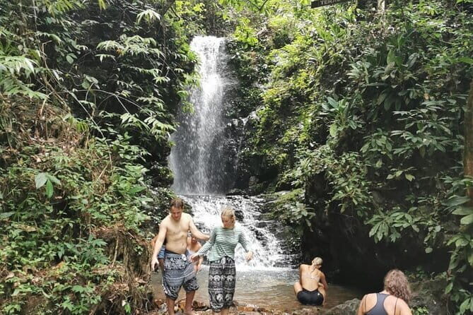 Daytrip to Taman Negara National Park With Teras Waterfall - How the Experience Comes Together