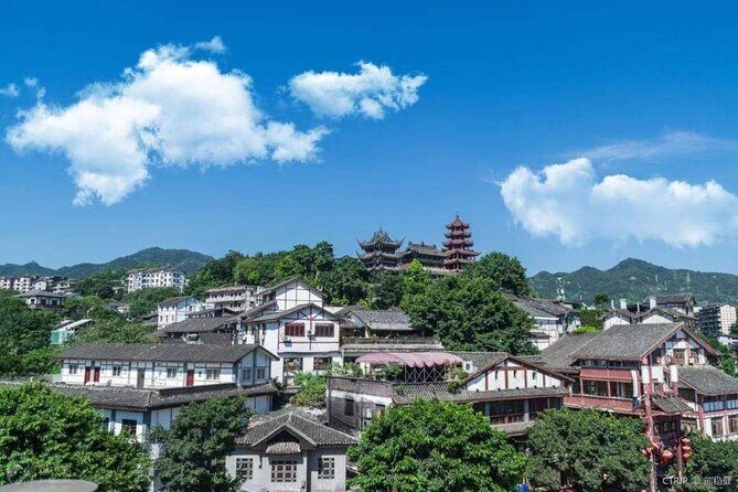 Dazu Rock Carvings+Ciqikou Old Town Private Tour - The Practicalities and Value
