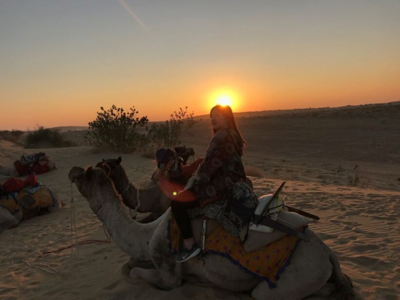 Dazzling Half Day Camel & Desert Safari With Sunset & Dinner - The Itinerary and What to Expect