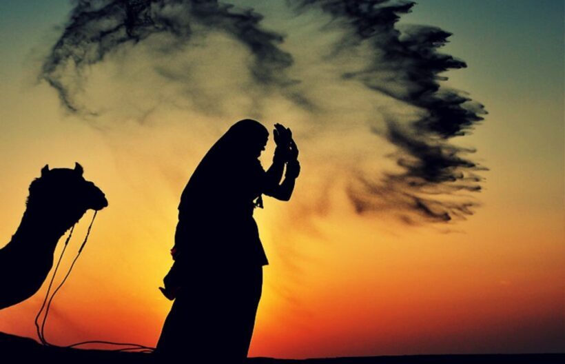Dazzling Half Day Camel & Desert Safari With Sunset & Dinner - What This Tour Means for Your Travel Experience