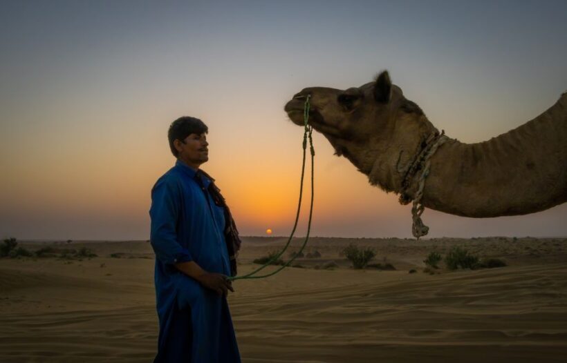 Dazzling Half Day Camel & Desert Safari With Sunset & Dinner - The Sum Up: Who Should Book This Tour?