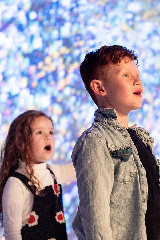 DC: All Creation Sings- Museum of the Bible Exhibition Entry - What to Expect and Practical Tips