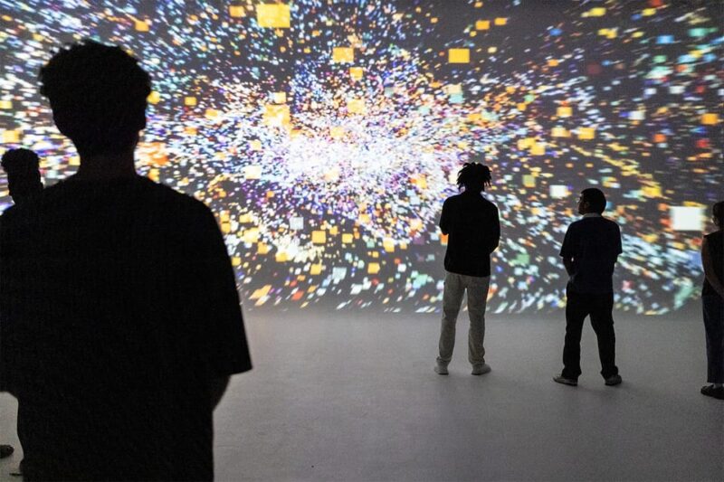 DC: All Creation Sings- Museum of the Bible Exhibition Entry - Authentic Feedback from Visitors