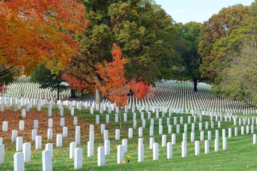 DC: Hop-on Hop-off, Arlington Walking Tour, and Night Tour - Key Points