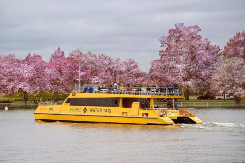 DC: Hop-on Hop-off, Arlington Walking Tour, and Night Tour - An Introduction to the Tour Experience