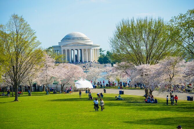 DC: Hop-on Hop-off Bus, Arlington Walking Tour, and Night Tour - Who Will Love This Tour?