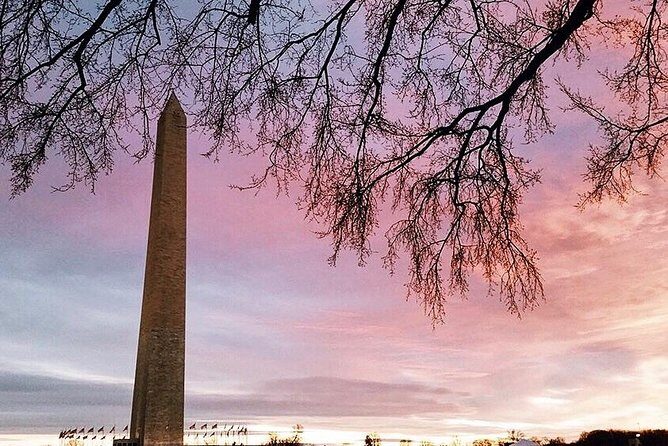 DC Mall w/ Washington Monument Ticket Exclusive Guided Tour - What Makes the Experience Stand Out