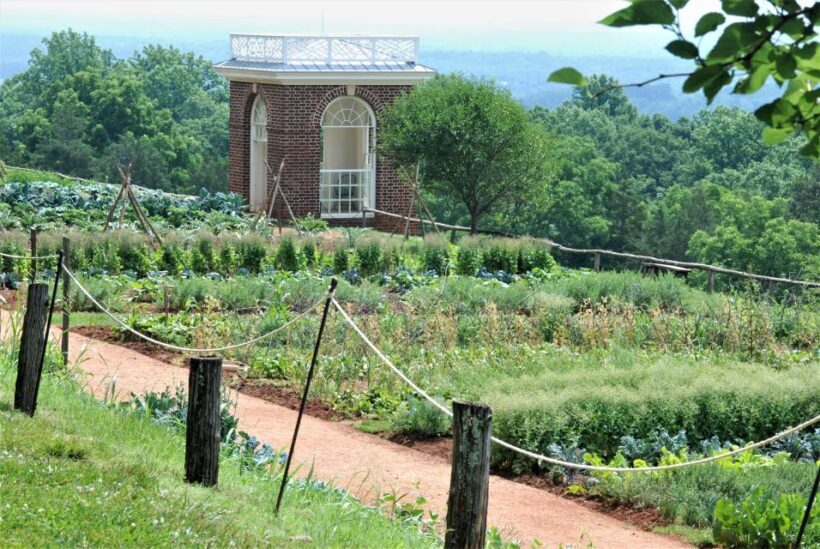 DC: Private Day Trip to Thomas Jeffersons Monticello Estate - Key Points