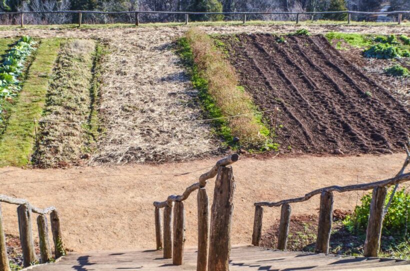 DC: Private Day Trip to Thomas Jeffersons Monticello Estate - FAQ