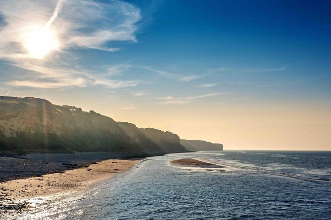 DDAY Beaches Private Tour in Normandy From Your Hotel in Paris - Customer Testimonials and Noteworthy Experiences