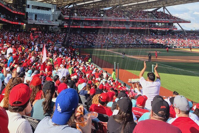 DE DE Baseball match day experience in DE Mexico City - The Value for Travelers