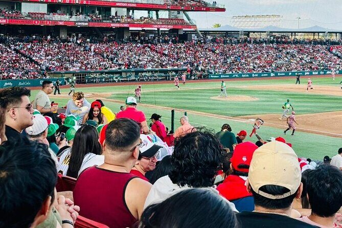 DE DE Baseball match day experience in DE Mexico City - Additional Resources