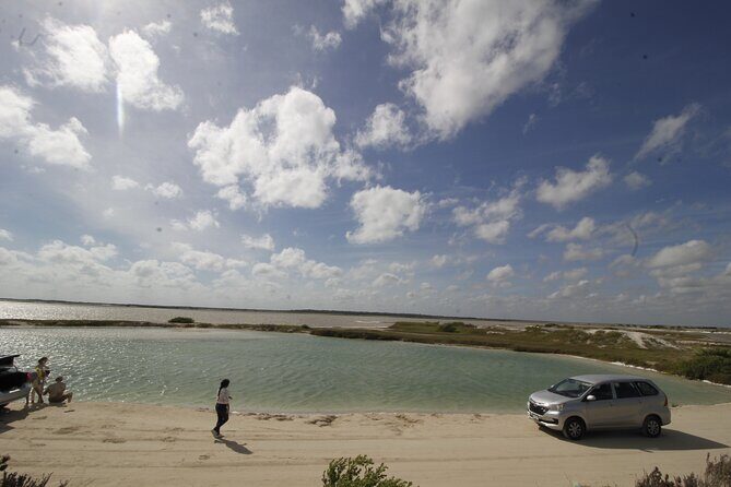 De Valladolid:Rio lagartos+Coloradas+Ek Balam+Cenote(Transporte) - The Value Proposition: Is It Worth It?