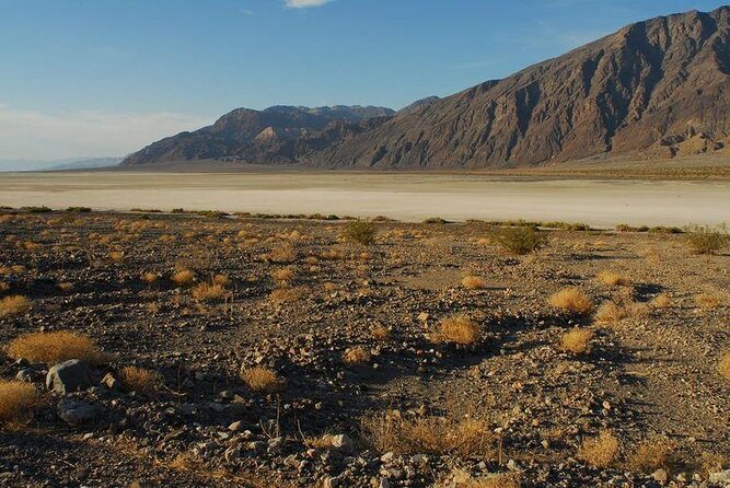 Death Valley Explorer Tour by Tour Trekker - Inclusions and Logistics
