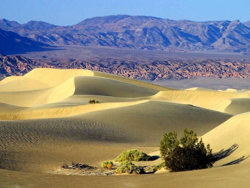 Death Valley: Full-Day Tour from Las Vegas - A Deep Dive into the Death Valley Experience