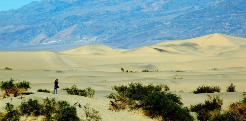 Death Valley: Full-Day Tour from Las Vegas - The Experience: What Travelers Are Saying