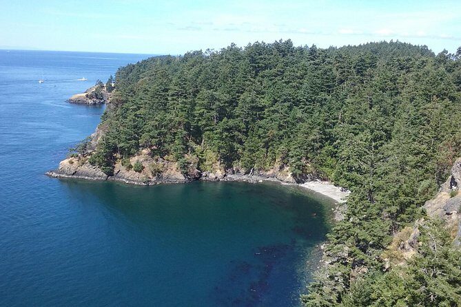 Deception Pass Bridge Island Tour from Seattle - What Reviewers Say